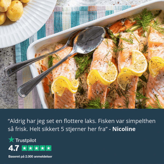 Laks | Køb lækker fersk og røget laks online fra Kystfisken.dk →