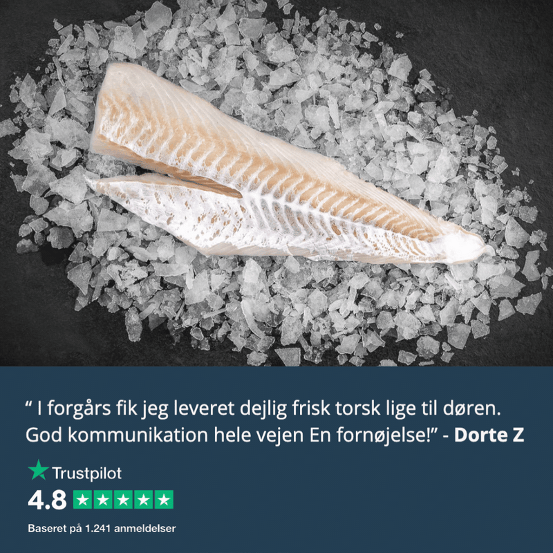 Frisk fisk | Bestil fisk online til direkte levering fra Kystfisken →